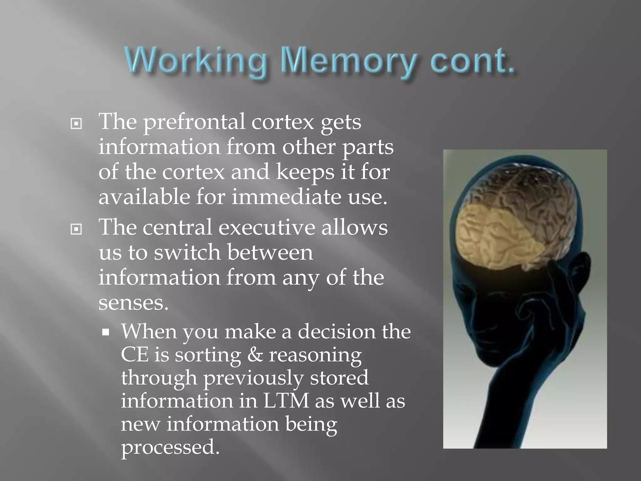 Working memory | PPTX
