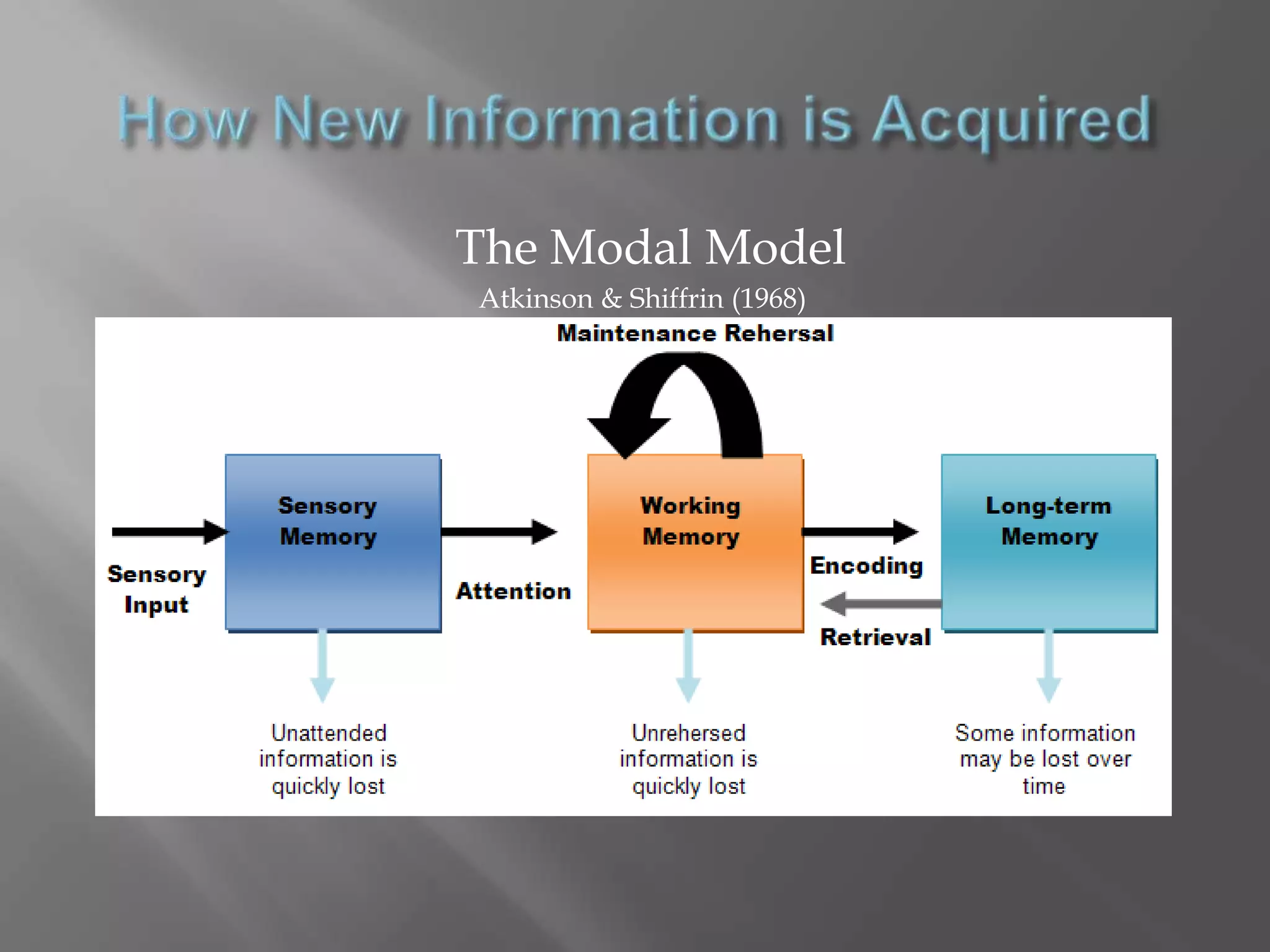 Working memory | PPTX