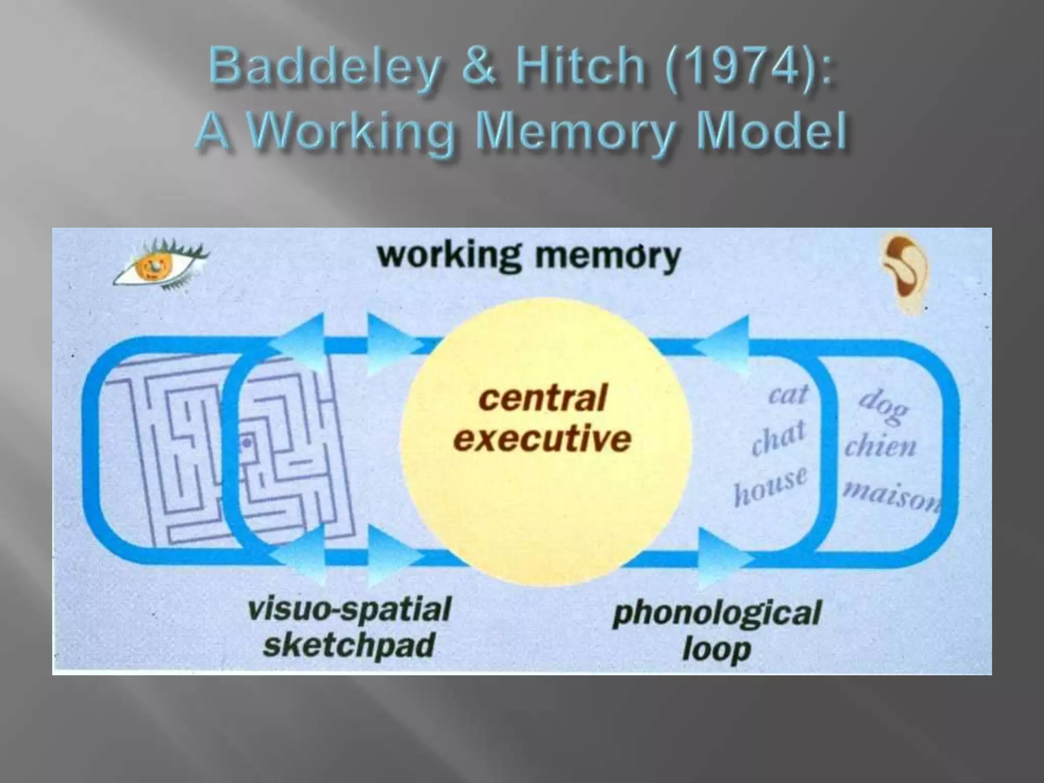 Working memory | PPTX