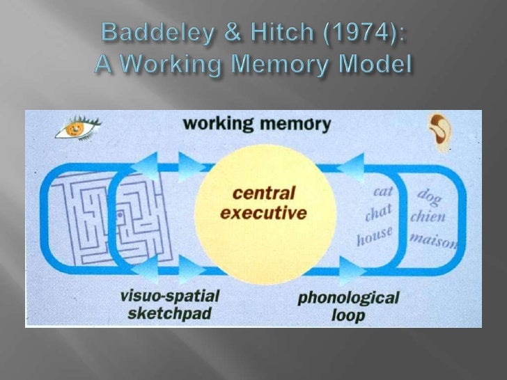 Working memory