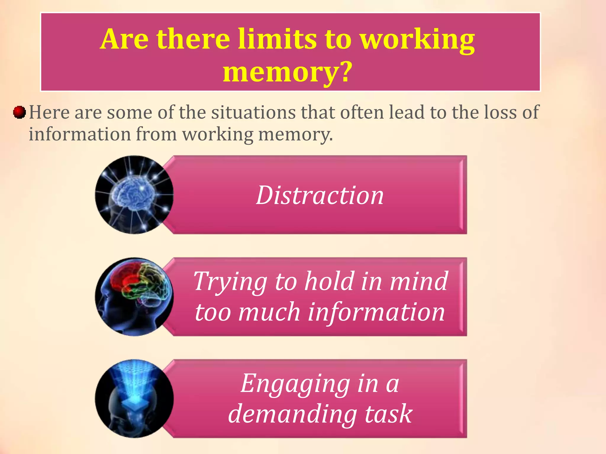 Working memory | PPTX