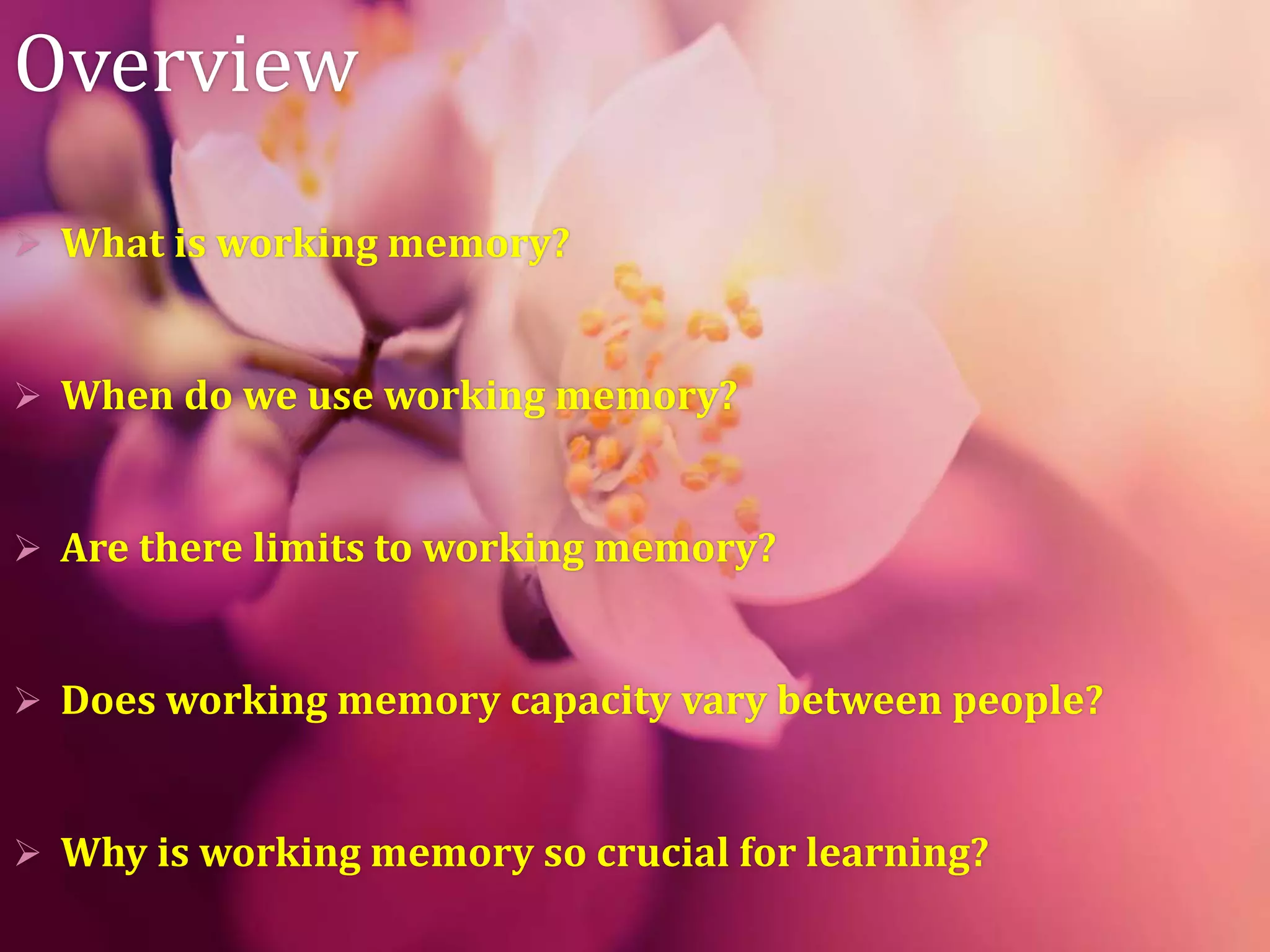 Working memory | PPTX