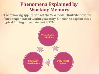 Working memory | PPTX