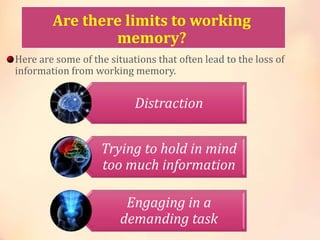 Working memory | PPTX