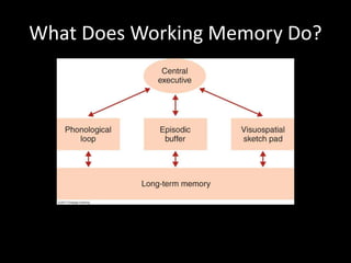 Working Memory | PPT