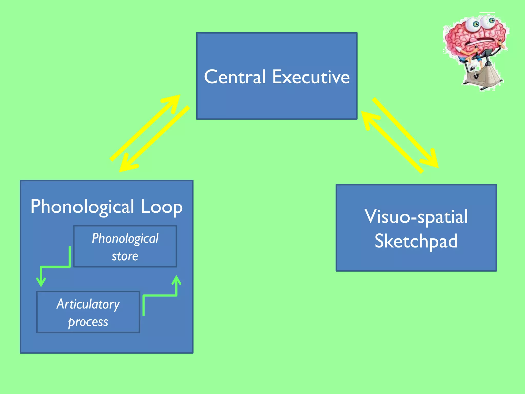 Working memory model | PDF