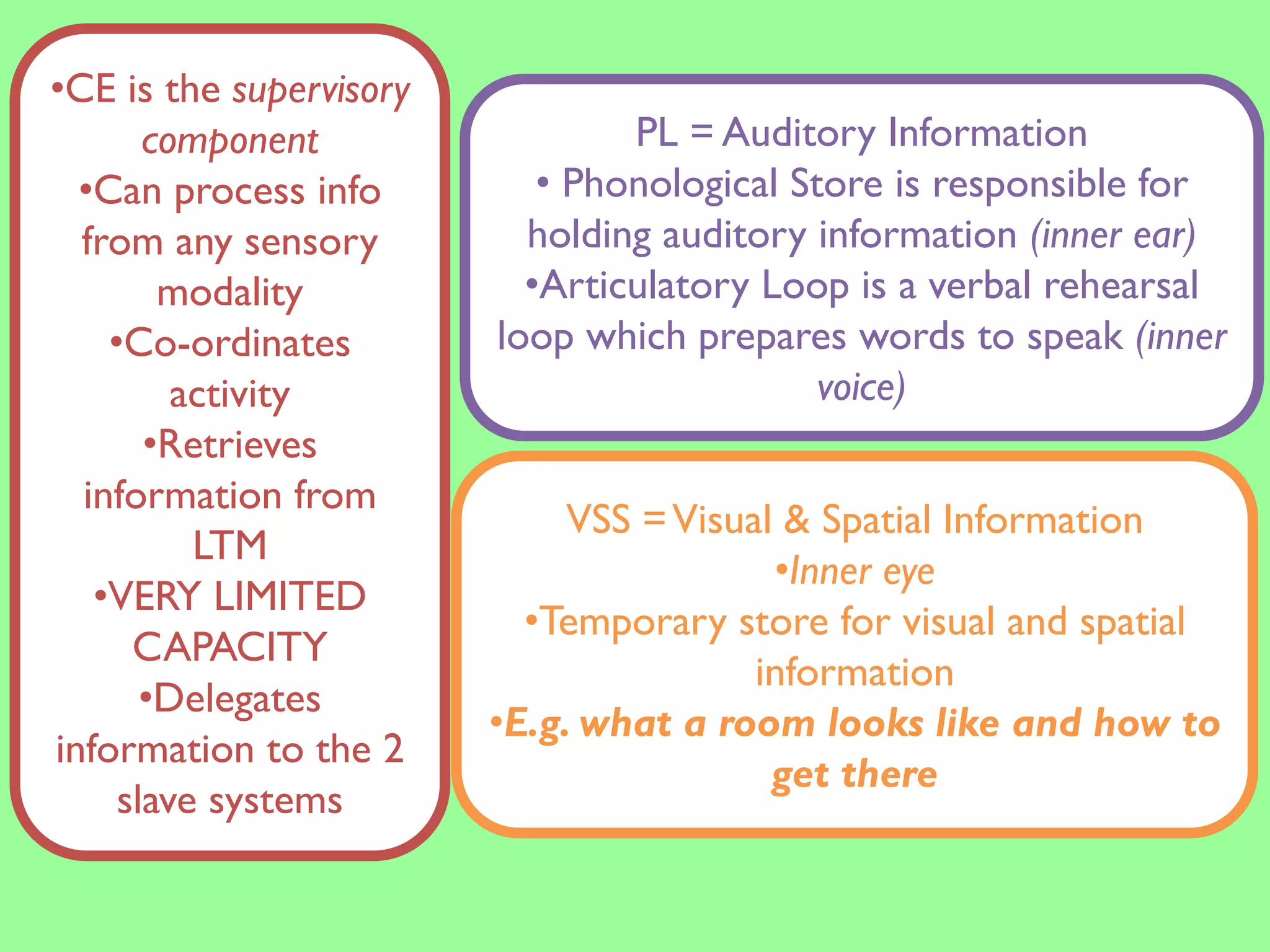 Working memory model | PDF