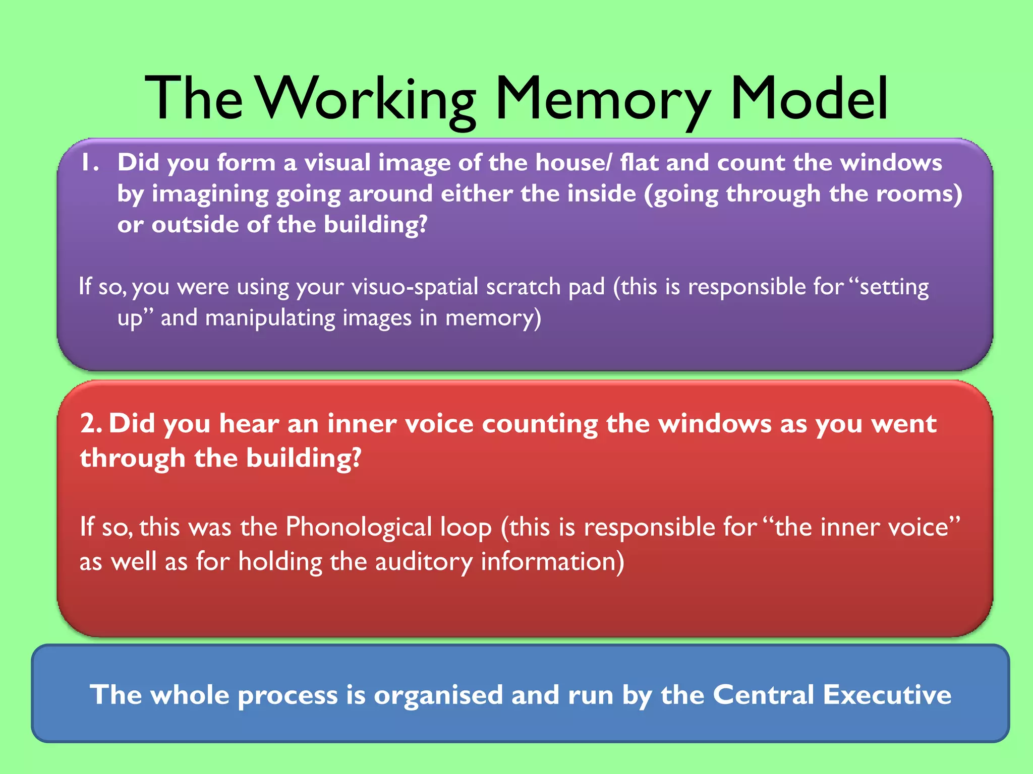 Working memory model | PDF