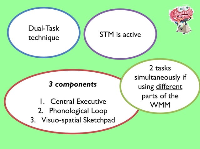 Working memory model | PDF