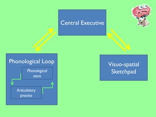 Working memory model | PDF
