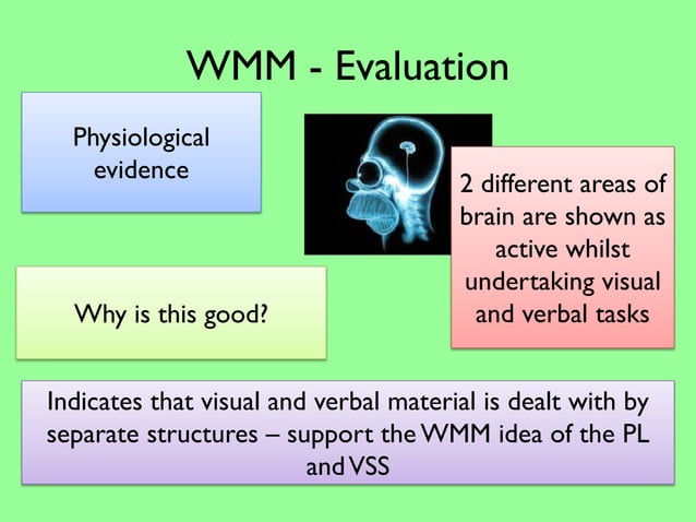 Working memory model | PDF