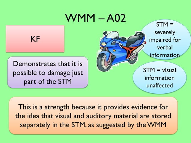 Working memory model | PDF