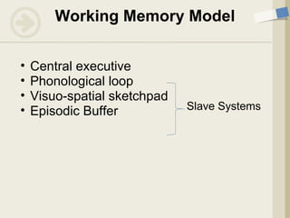 Working Memory Model - Sunwoo, Marz | PPT