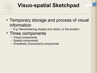 Working Memory Model - Sunwoo, Marz | PPT