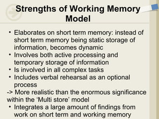 Working Memory Model - Sunwoo, Marz | PPT
