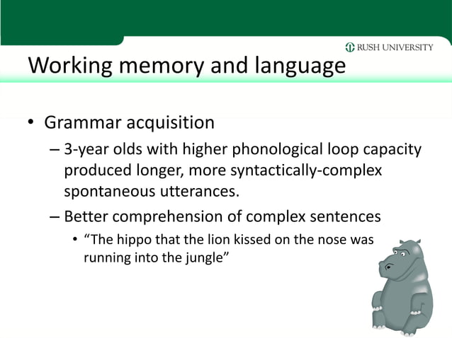 Working memory | PDF