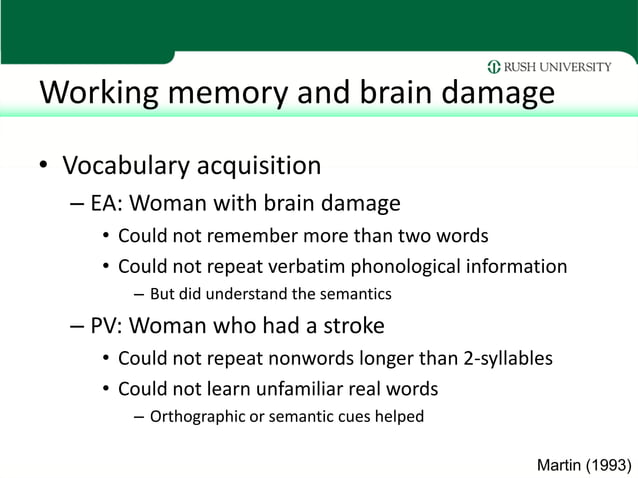 Working memory | PDF