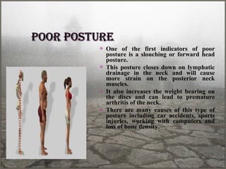 Working posture | PPT