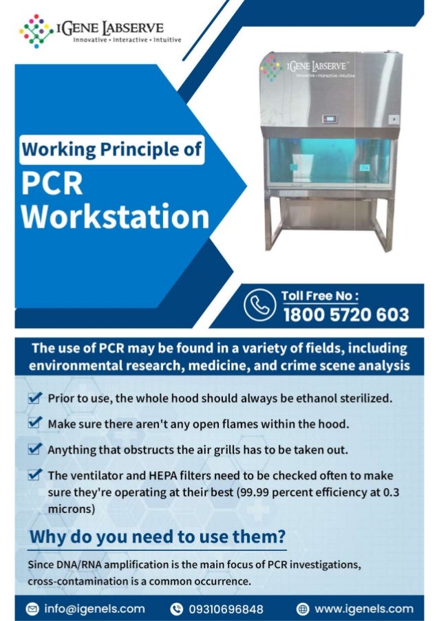 Working Principle of PCR Workstation | PDF