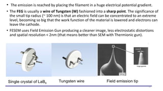 WORKING PRINCIPLE OF SEM.pptx