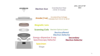WORKING PRINCIPLE OF SEM.pptx