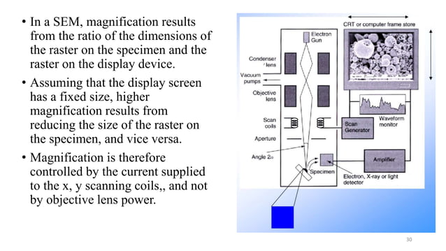 WORKING PRINCIPLE OF SEM.pptx