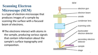 WORKING PRINCIPLE OF SEM.pptx