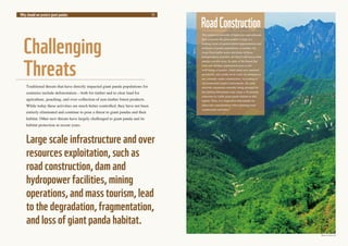 Raising awareness of the WWF's Panda Conservation Projects | PPT