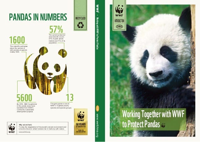 Raising awareness of the WWF's Panda Conservation Projects