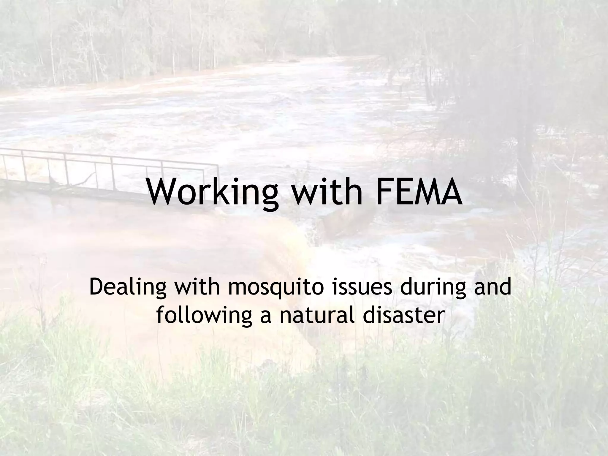 Working With FEMA | PPT