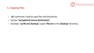 Working with Files _ Directories in Linux(21-25).pptx