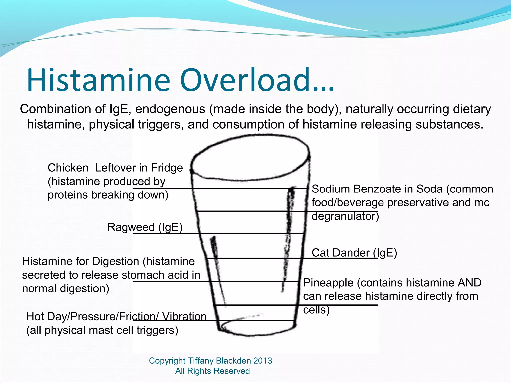 Working with Histamine Overload April 2013 | PPT