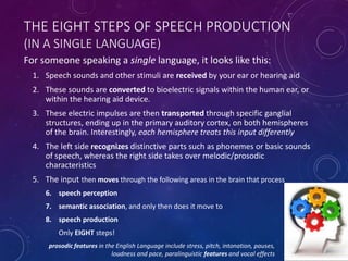 Working with Interpreters | PPTX | Technology & Computing