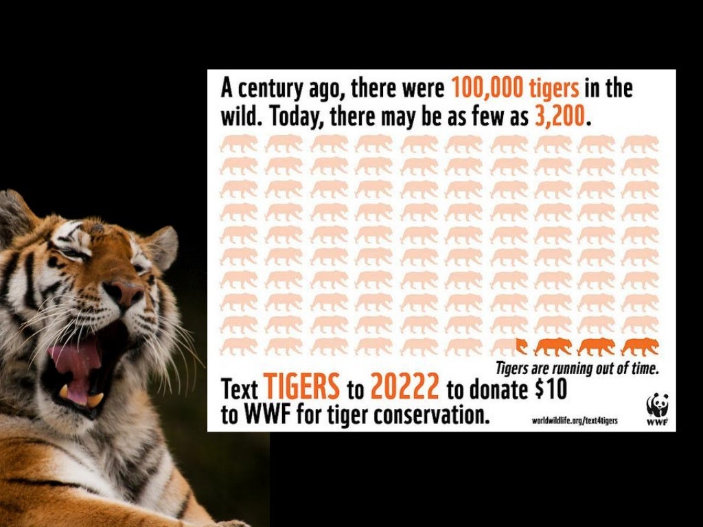 Working with numbers and people