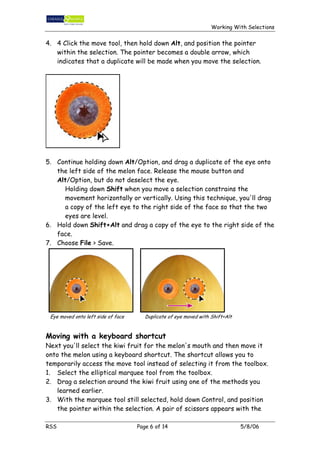 Working with selections | PDF