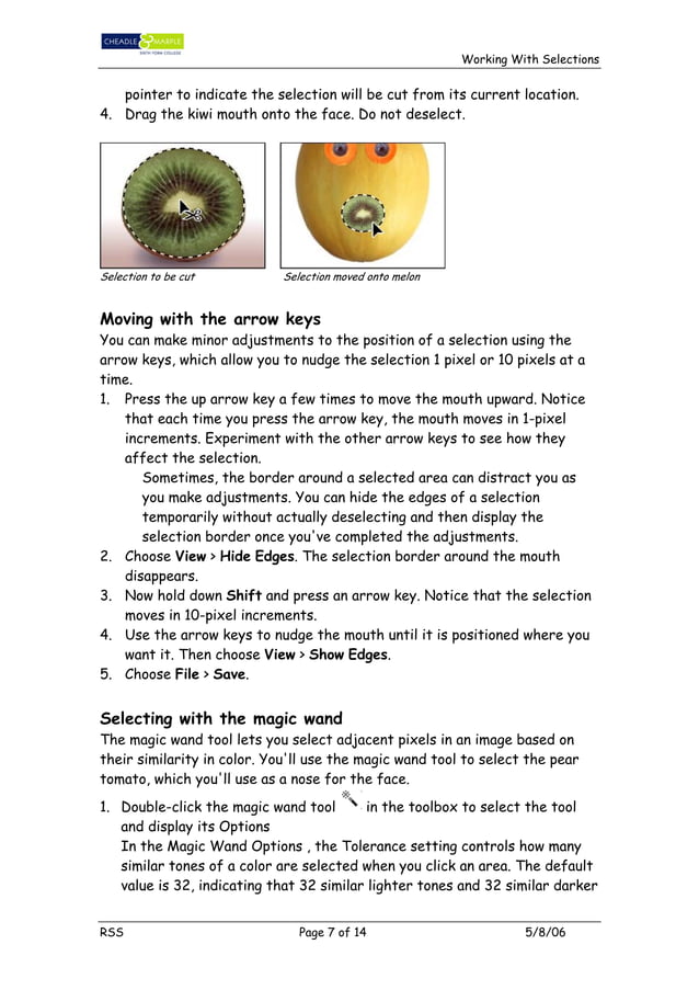 Working with selections | PDF | Gardening | Home & Garden