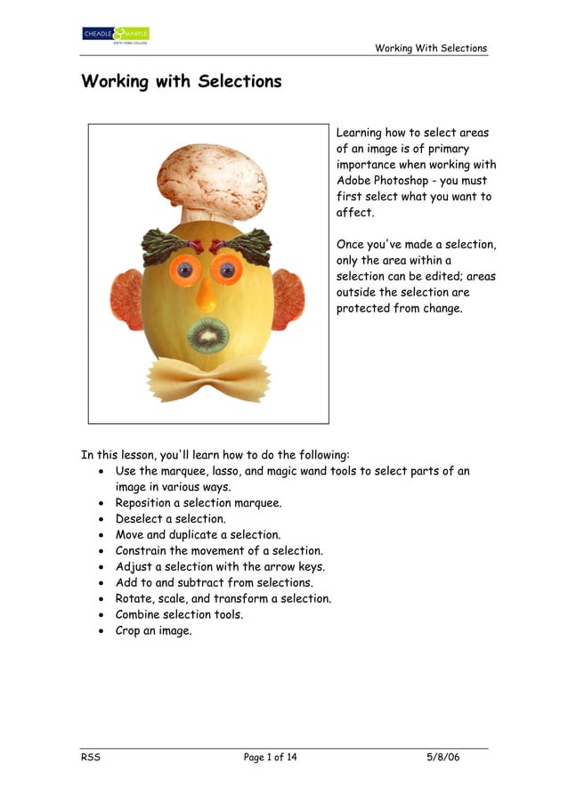 Working with selections | PDF