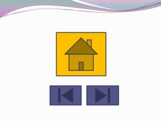 Working with visual basic applications | PPTX