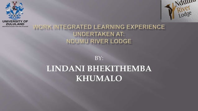 WORK INTEGRATED LEARNING EXPERIENCE UNDERTAKEN AT.pptx