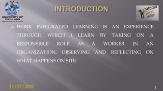WORK INTEGRATED LEARNING EXPERIENCE UNDERTAKEN AT.pptx