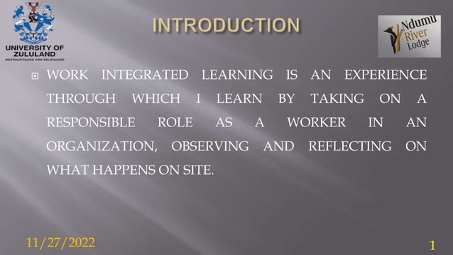 WORK INTEGRATED LEARNING EXPERIENCE UNDERTAKEN AT.pptx