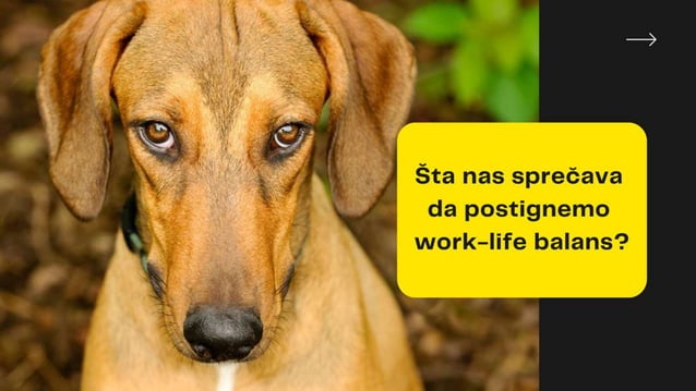 Work life balance.pptx ravnoteza .balans | PPT