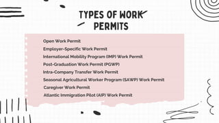 Secure Your Canadian Career Path with TVG Migration's Work Permit ...