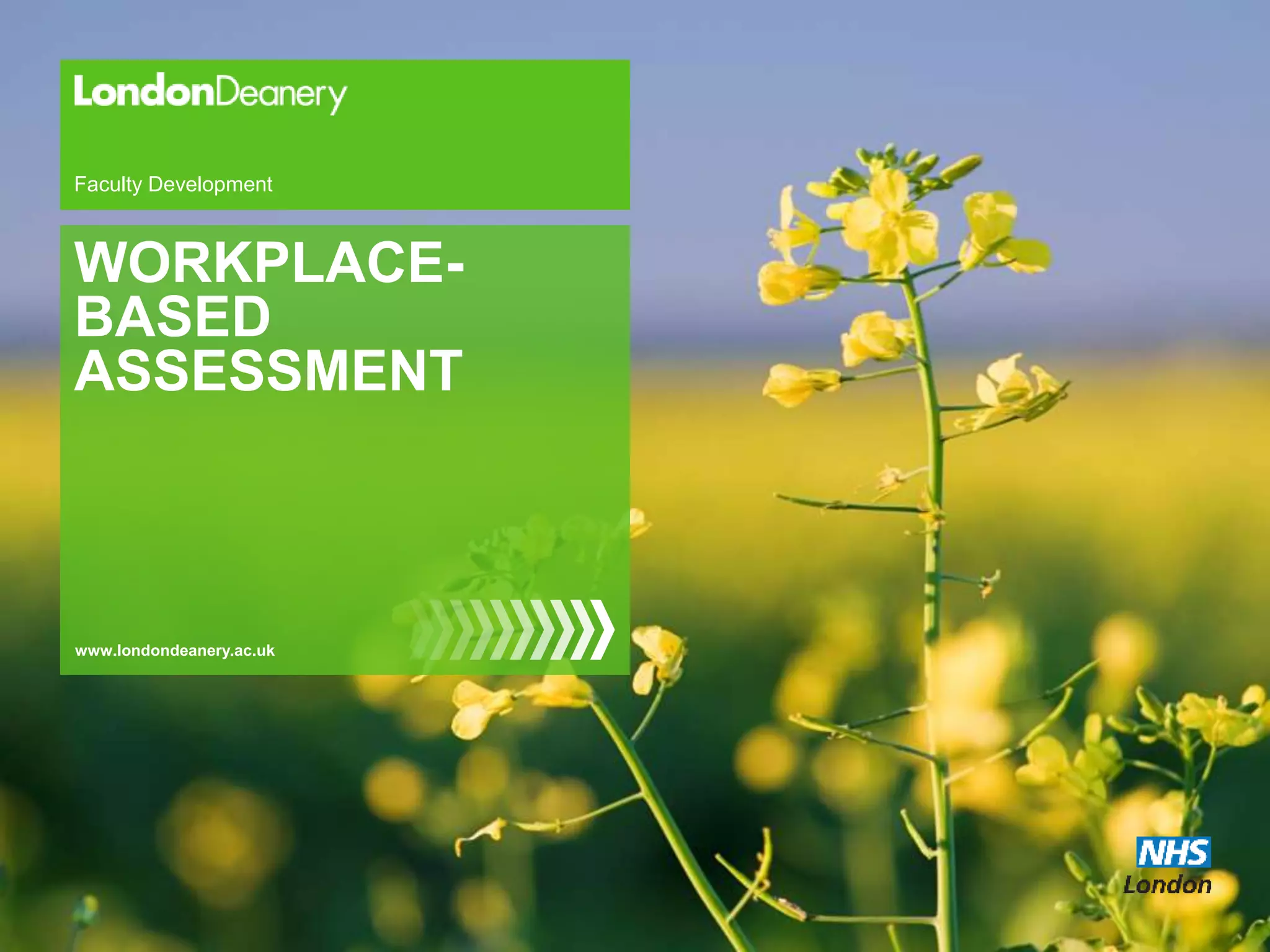 WORKPLACE BASED ASSESSMENT TOOL KIT THREE.ppt