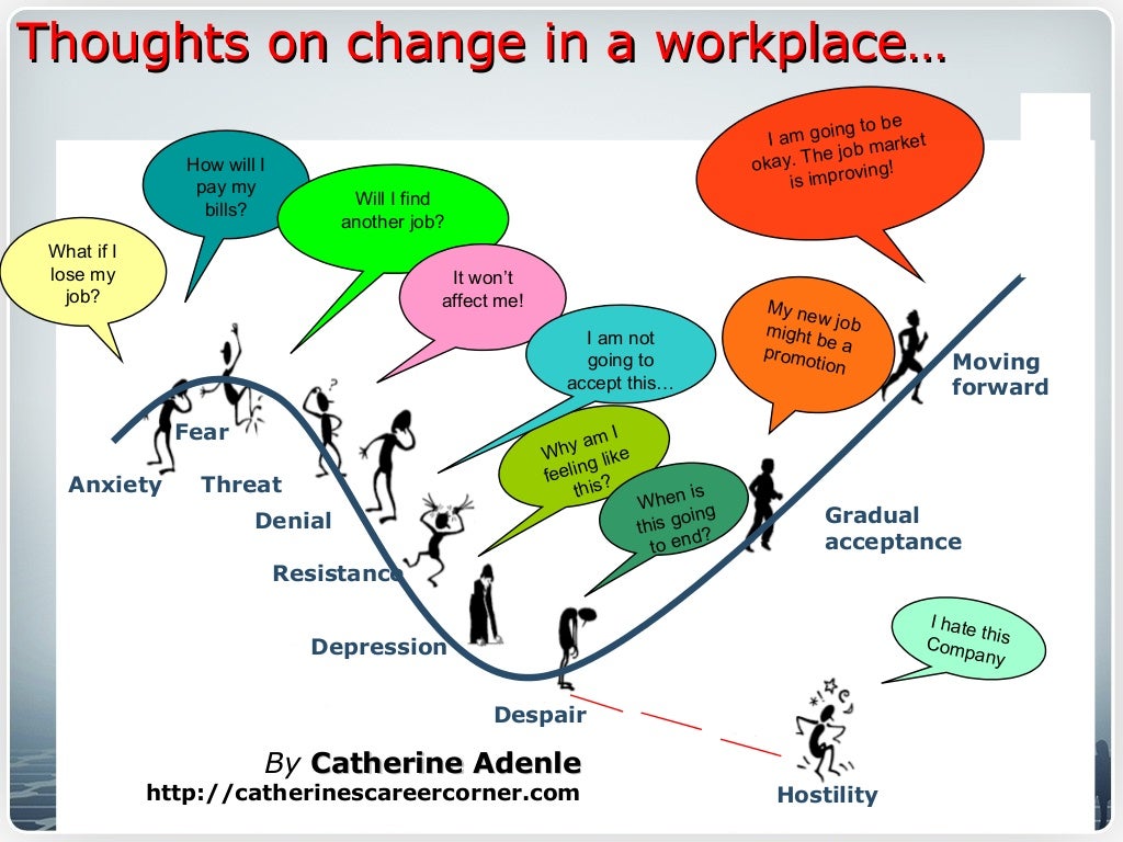 Workplace Change and Transition by Catherine Adenle