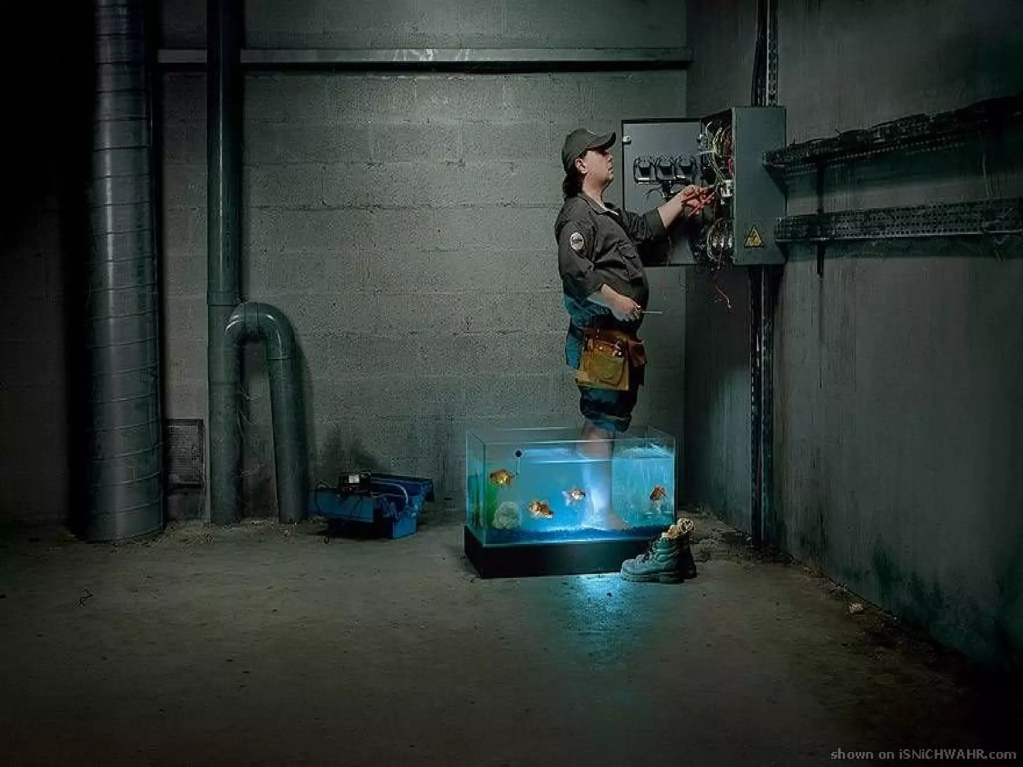 Workplace Dangers | PPS