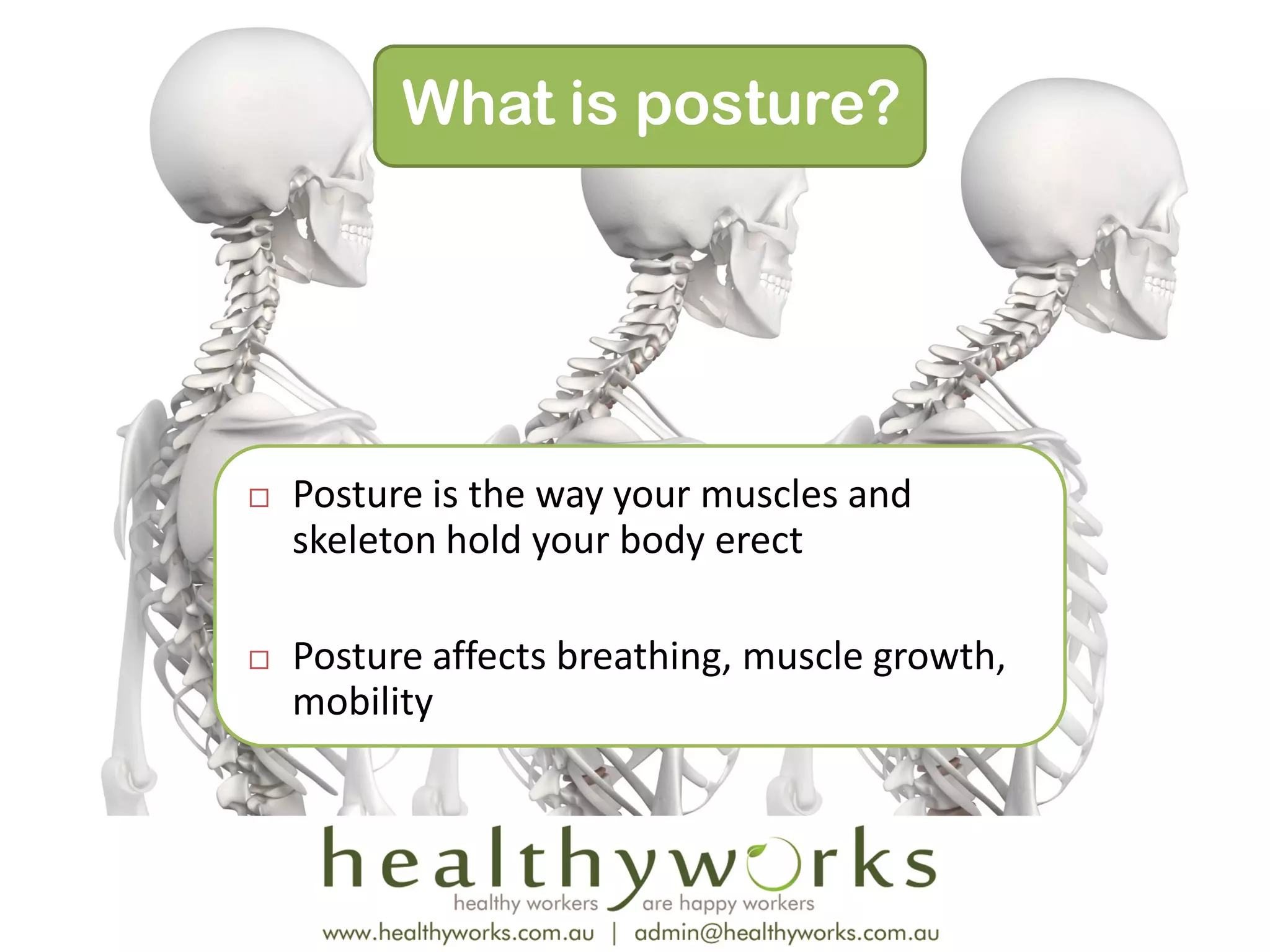 Workplace Ergonomics & Injury Prevention Sneak Peak | PDF