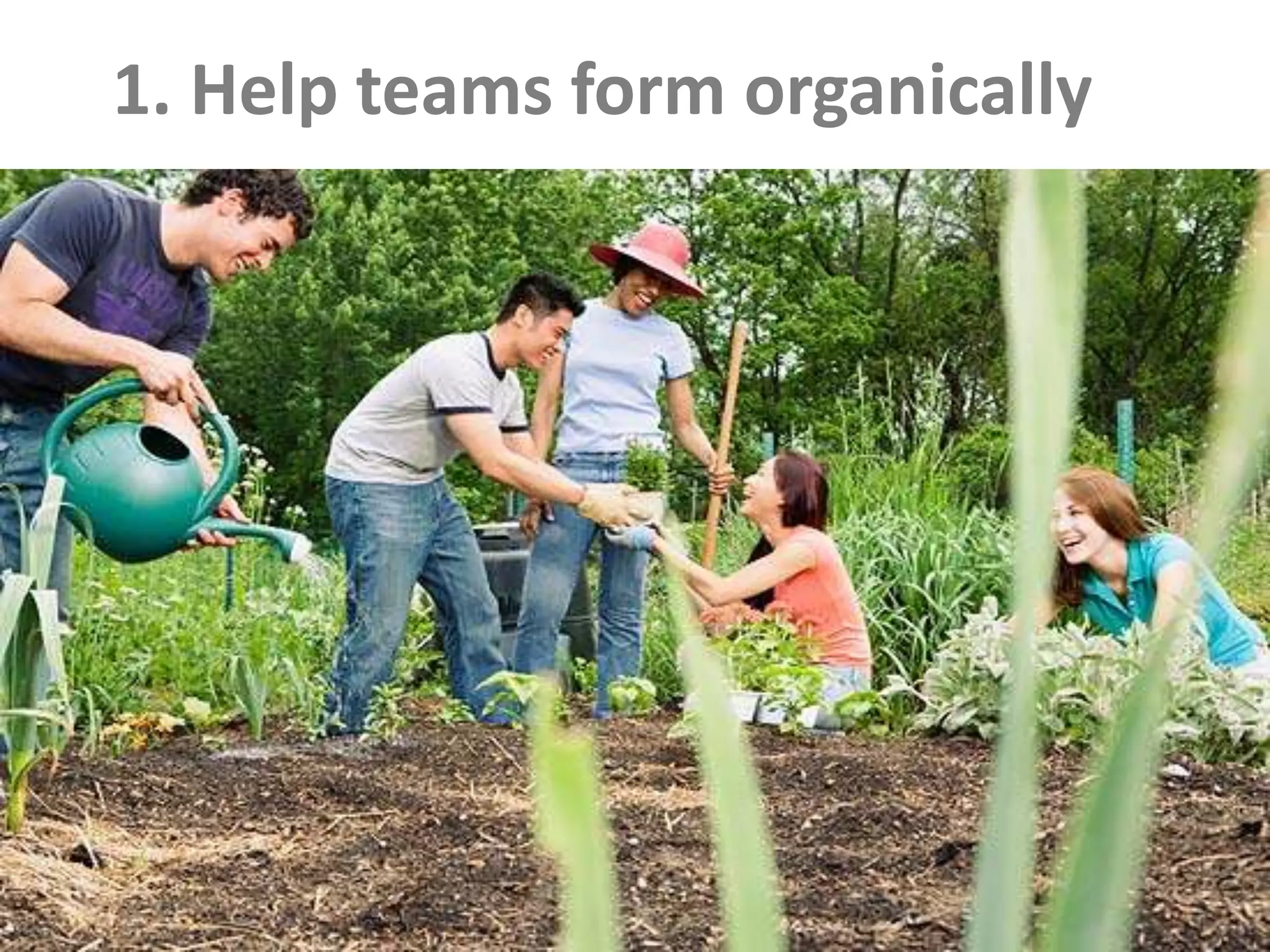 Workplace gardening philosophy for frontline leaders | PPTX