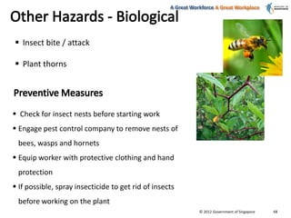 Workplace Hazards safety precautions -01 | PDF