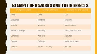 Workplace Hazards and Risks | PPTX